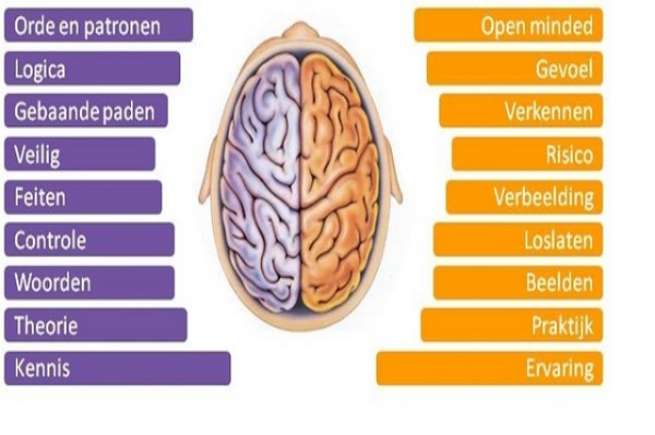 Wat houdt autisme in? Achtergrond informatie over ASS - PONT Zorg&Sociaal